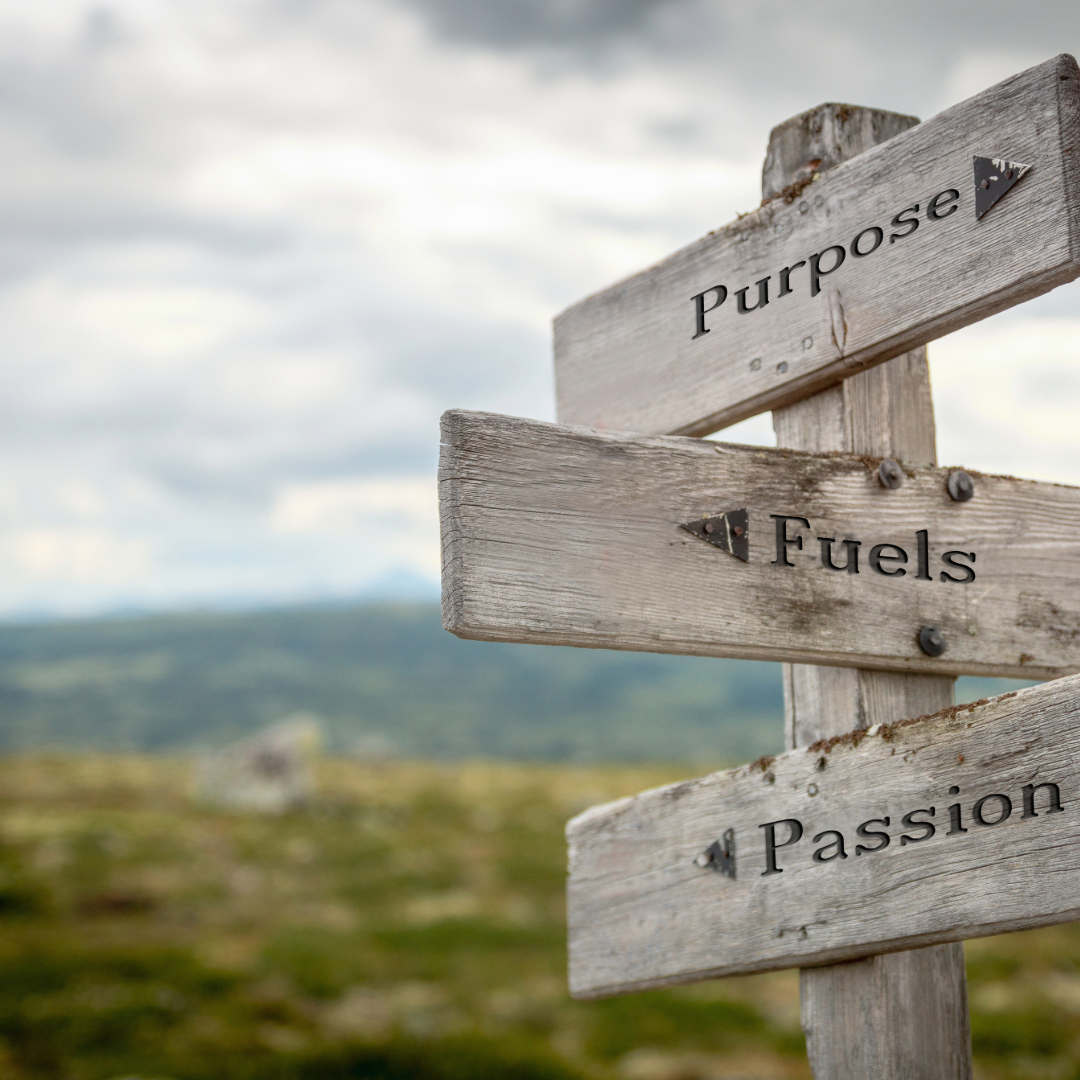 Wellbeing coaching - Eudemonic vs. Hedonic Paradigms